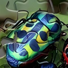 Juegos de Insectos - Juega gratis online en JuegosArea.com